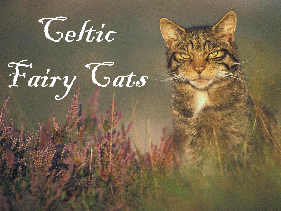 Celtic Cat Myths and Legends | Khaliela Wright